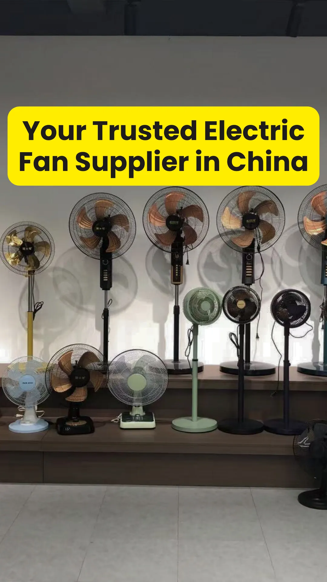 SF Electrical Appliance: Your Trusted Electric Fan Supplier